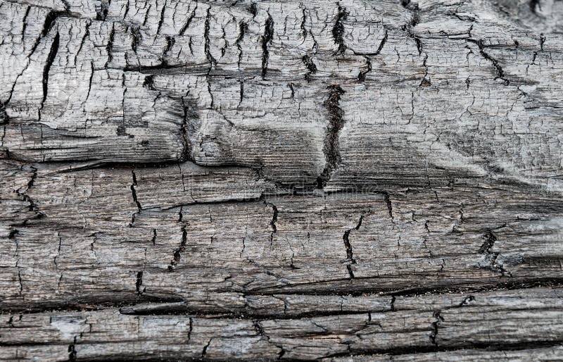 Charred wood stock image. Image of ashes, wood, invoice - 11388855
