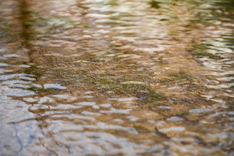 The Surface of the Clear Water of a Shallow Mountain River, the Bottom ...