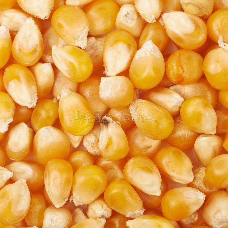 Surface Coated with Corn Kernels Stock Photo - Image of kernel, food ...