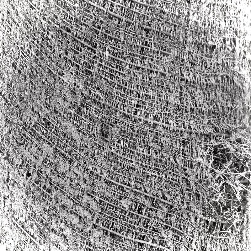 Surface of Coconut Fiber. Texture or Background. Stock Image - Image of ...