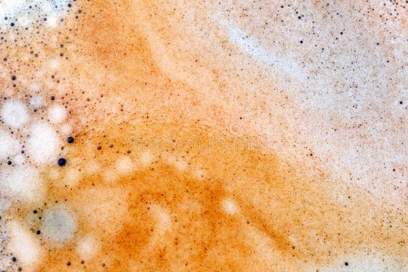 The Surface Of Coffee Foam Macro Stock Image Image Of Beautiful Froth 259331381