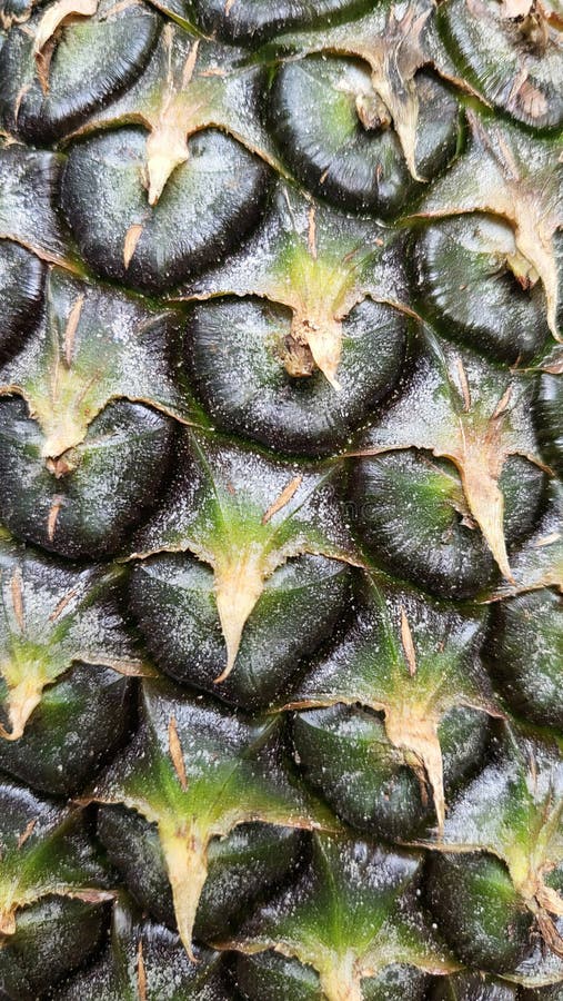 Very Close Surface Detail of Pineapple Fruit Peel Stock Photo - Image ...