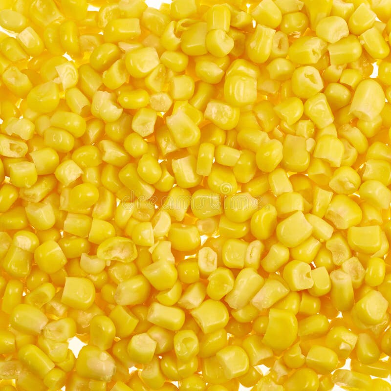 Surface Covered with Corn Kernels Stock Photo - Image of healthy ...
