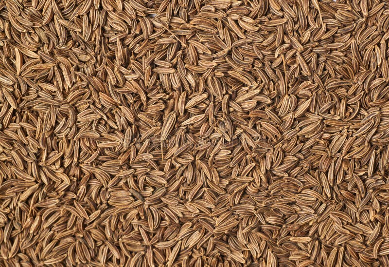 Surface Covered with Cumin Seeds Stock Image - Image of texture ...