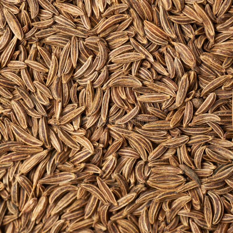 Surface Covered with Cumin Seeds Stock Image - Image of texture, cumin ...