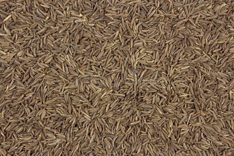 Cumin Seeds Texture, Full Frame Background Stock Image - Image of seeds ...