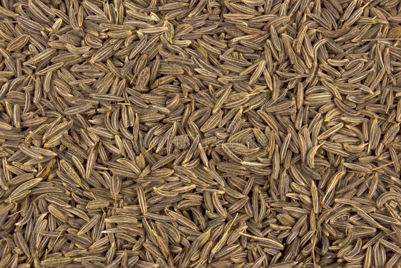 Cumin Seeds Texture, Full Frame Background Stock Photo - Image of herb ...