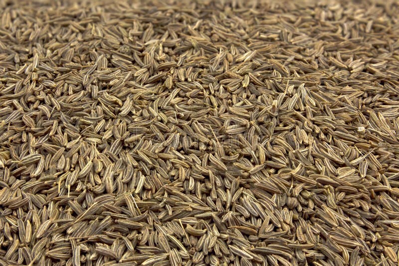 Cumin Seeds Texture, Full Frame Background Stock Photo - Image of herb ...