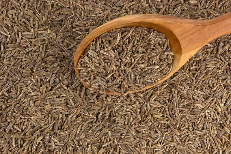 Cumin Seeds in Wooden Spoon Stock Image - Image of cumin, table: 113536395