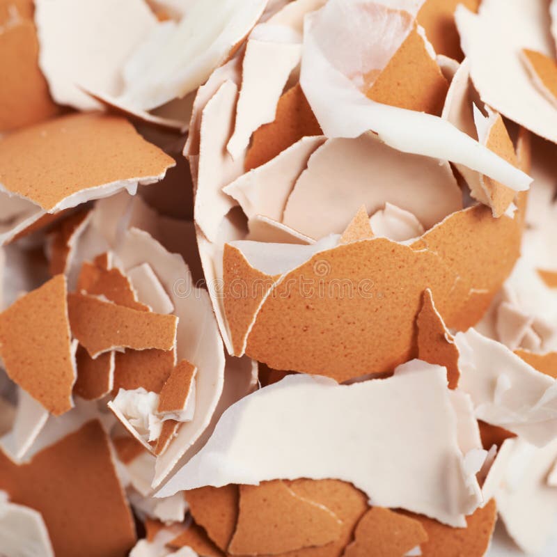 Surface Covered with Egg Shells Stock Photo - Image of cracked ...