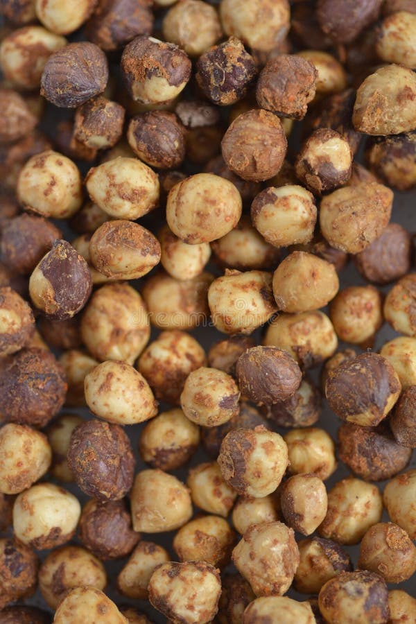 Hazelnuts stock photo. Image of chili, hazel, seed, powder - 228708710