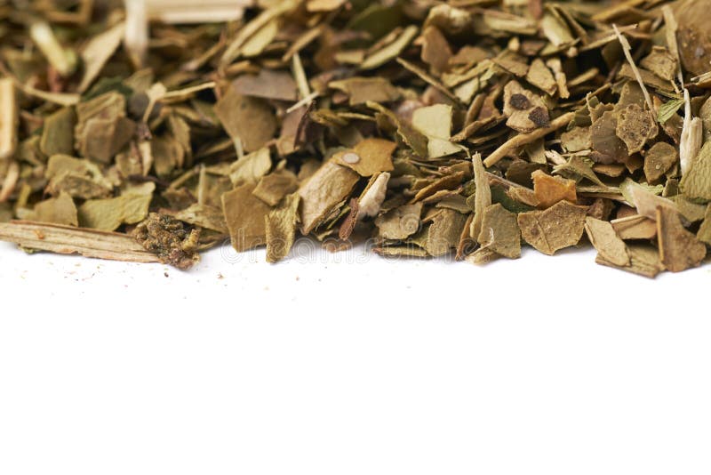 Surface Covered with Mate Leaves Stock Photo - Image of closeup, green ...