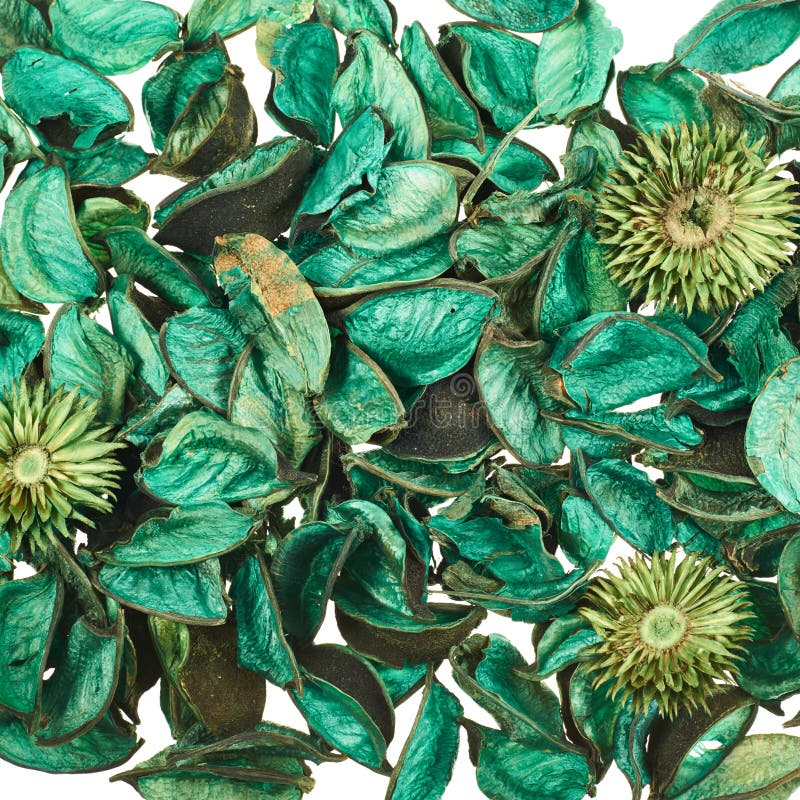 Surface Covered with Medley Potpourri Stock Image - Image of ...