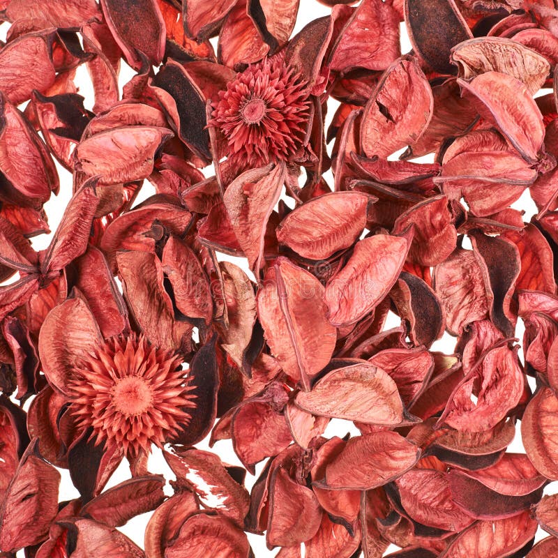 Surface Covered with Medley Potpourri Stock Image - Image of bath ...