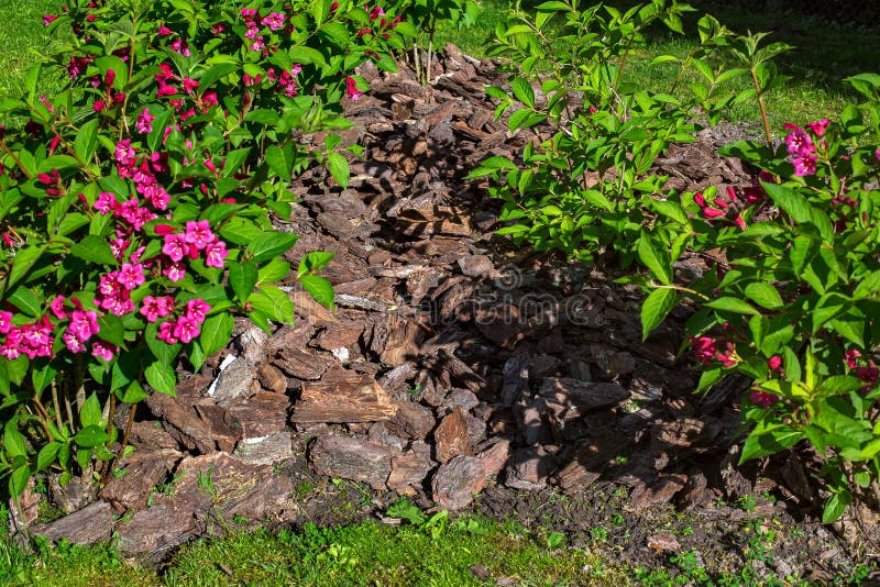 Surface Covering of the Soil with Mulch To Protect it and Improve Its ...