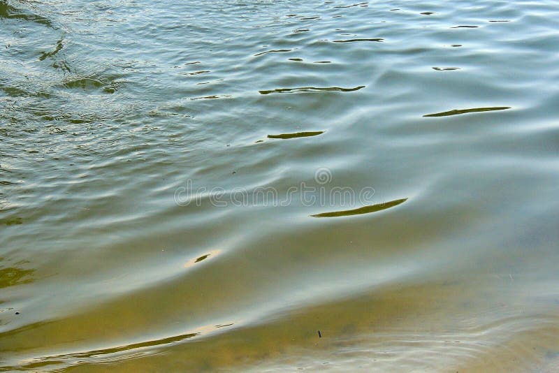 Surface de l'eau photo stock. Image du abstrait, environnement - 126449502