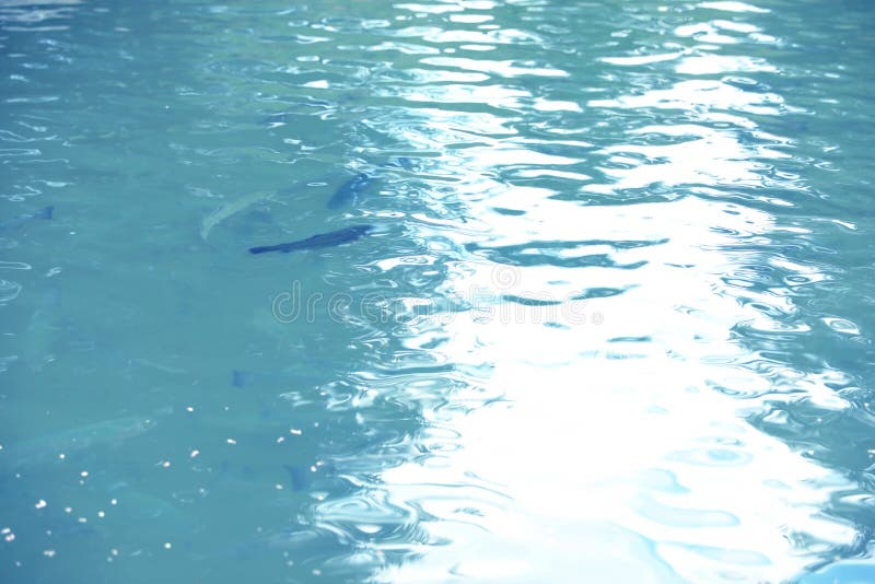 Surface de l'eau bleue image stock. Image du bleu, configuration ...