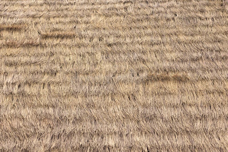 Surface De Toit Faite De Paille Image stock - Image du centrale ...