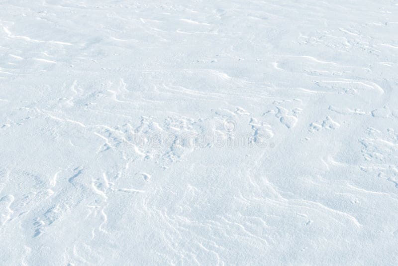 The Surface of Dense Snow, Sunny February Day Stock Photo - Image of ...