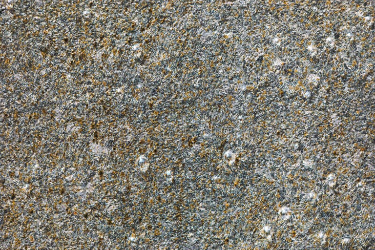 Surface of Densely Packed Cellular Stone Structures Stock Image - Image ...