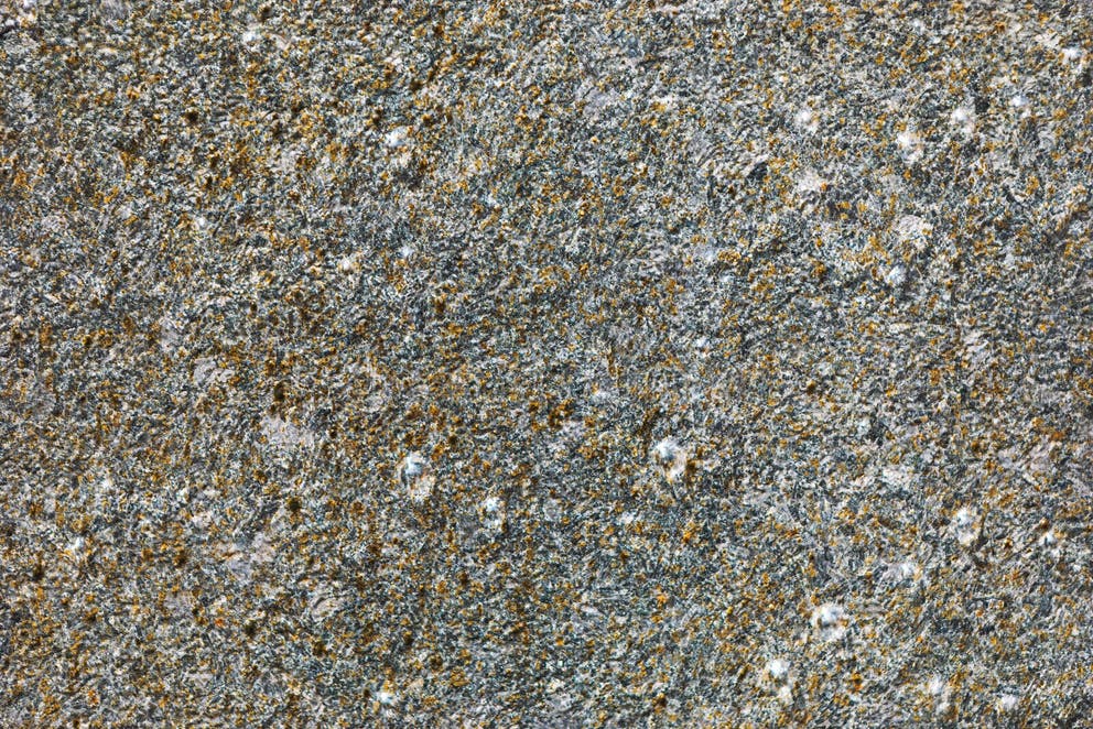 Surface of Densely Packed Cellular Stone Structures Stock Image - Image ...