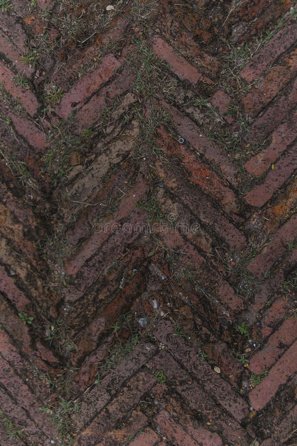 Brick path with grass stock image. Image of roofing - 231637565