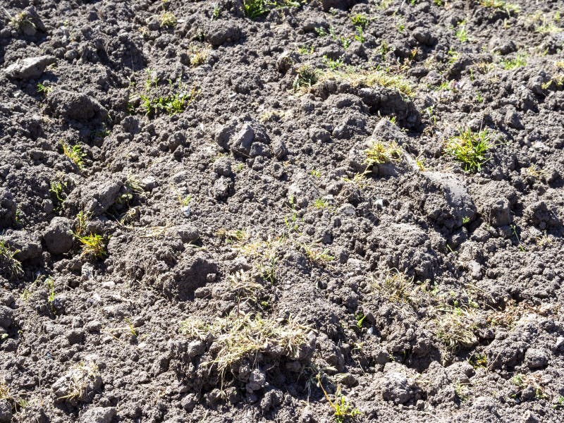 Surface of Dried Plowed Soil on Vegetable Garden Stock Photo - Image of ...