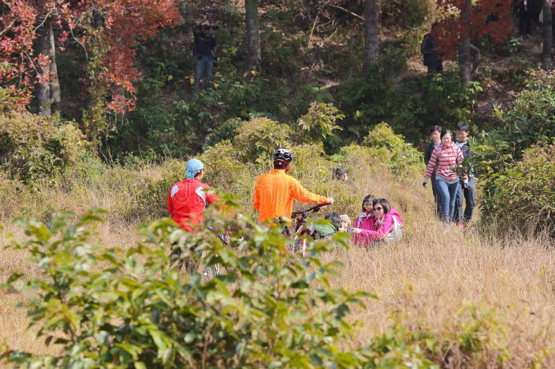 Surface Dry Grass Illuminated by Sunlight, Fall Season Editorial Photo ...