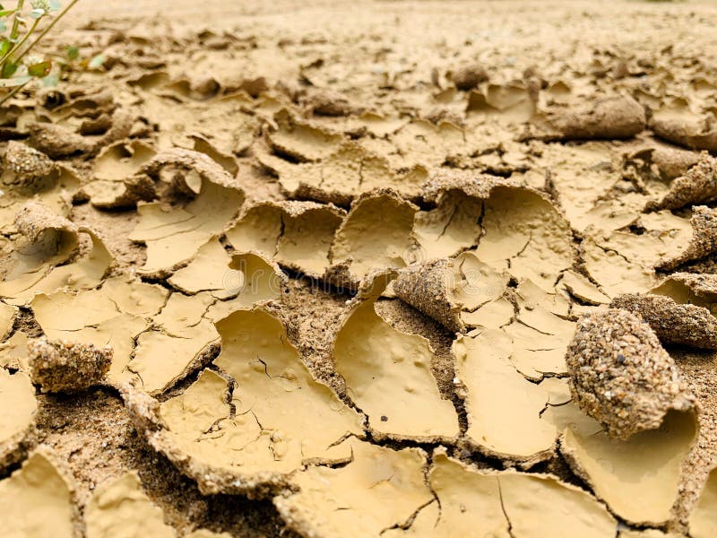 The Surface of Dry Land with Many Cracks. Stock Image - Image of nature ...
