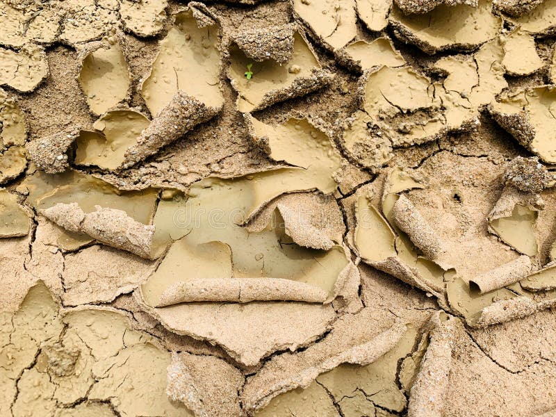 The Surface of Dry Land with Many Cracks. Stock Image - Image of crack ...