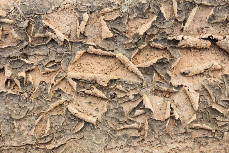 Surface of the dry soil. stock photo. Image of dryness - 121465344