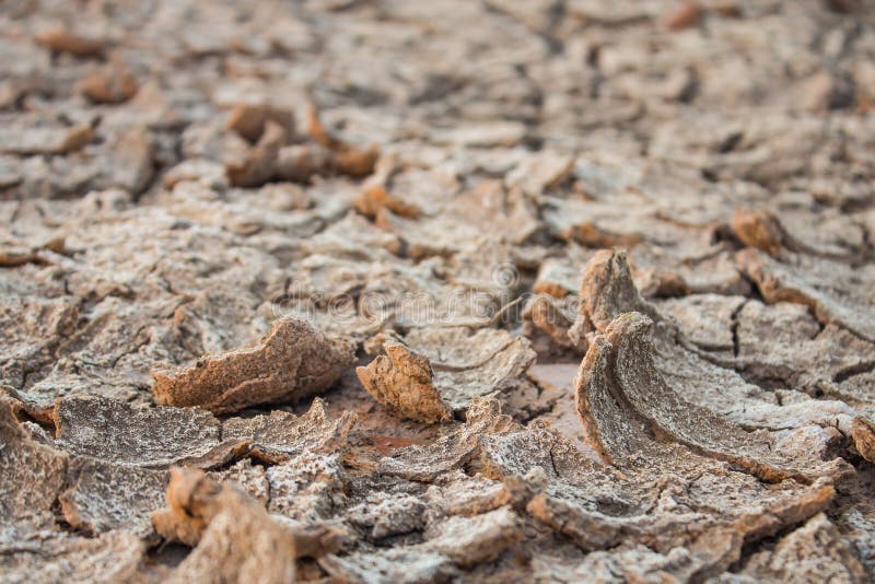 Surface of the dry soil. stock image. Image of dryness - 121466159