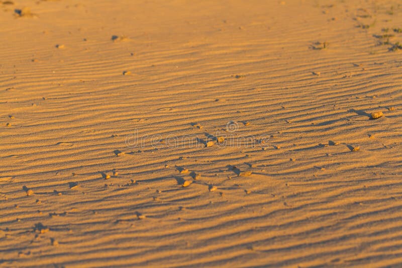 Surface of the Earth in the Desert Stock Photo - Image of earths, rock ...