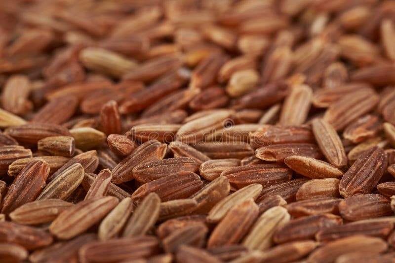 Surface Enduite Des Grains De Riz Brun Image stock - Image du fibre ...