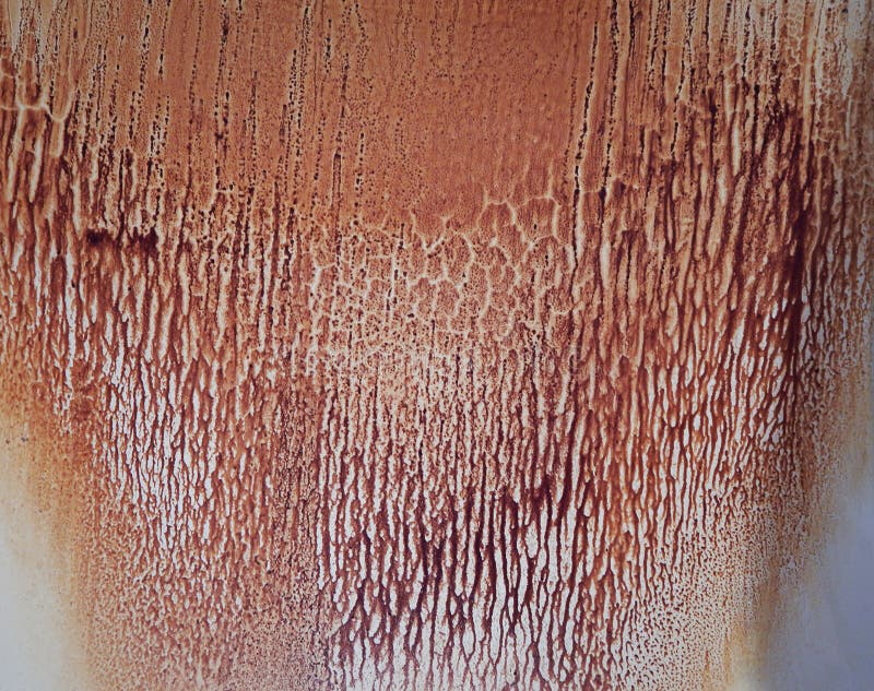 Surface fat stains stock photo. Image of background - 142904472