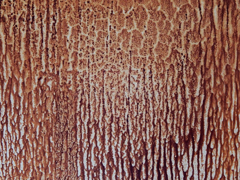 Surface fat stains stock photo. Image of textured, blot - 144872172