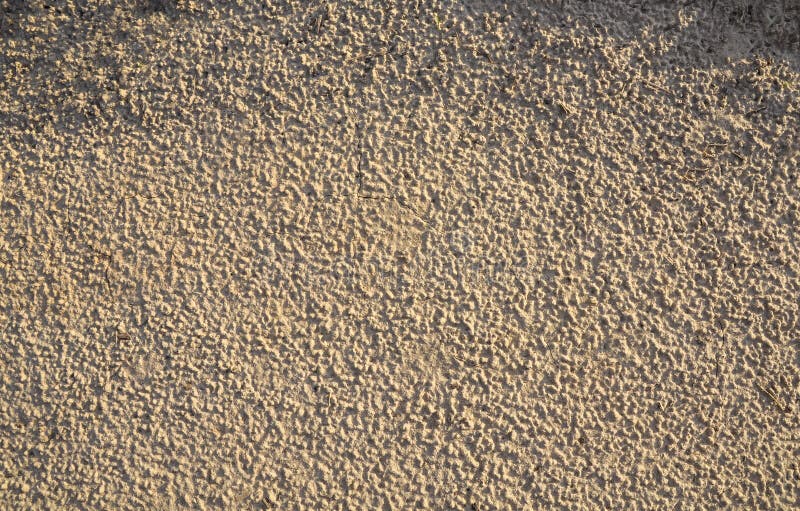 Surface of Fine Grain Wet Sand after Rain Stock Image - Image of fine ...