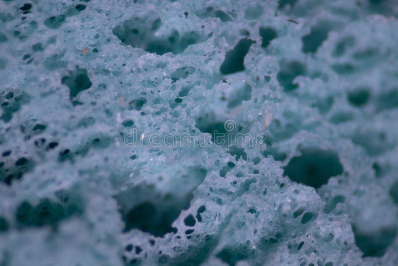 Sheet Under Microscope Stock Photos - Free & Royalty-Free Stock Photos ...