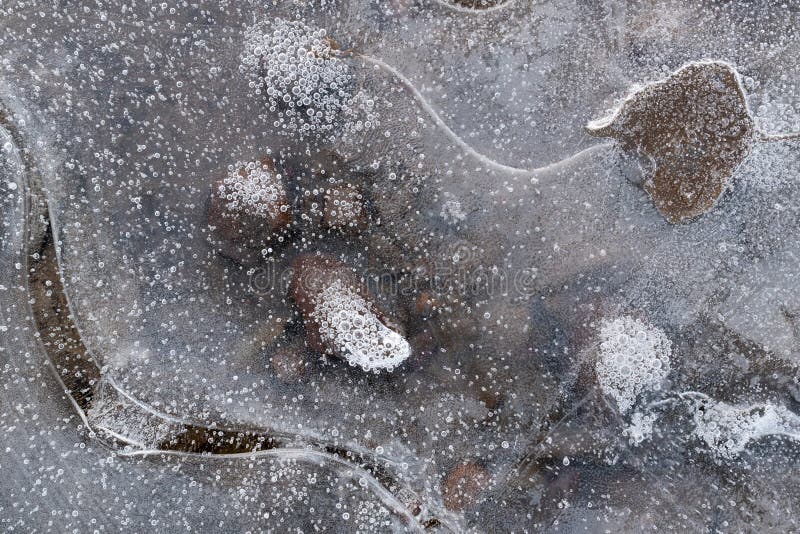 Surface of frozen puddle stock photo. Image of winter - 321343144