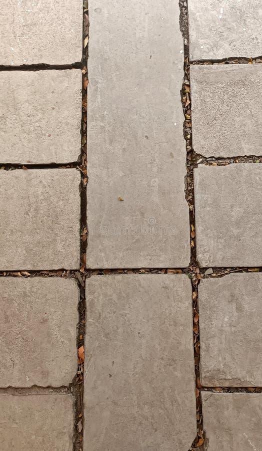 The Surface of the Garden Pathway Made of Rectangular Shaped Stones ...