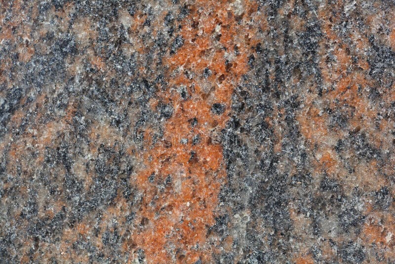 Polished Gneiss Mineral in Close-up Stock Photo - Image of natural ...