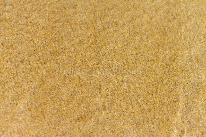Surface golden sand stock photo. Image of nature, closeup - 81504708