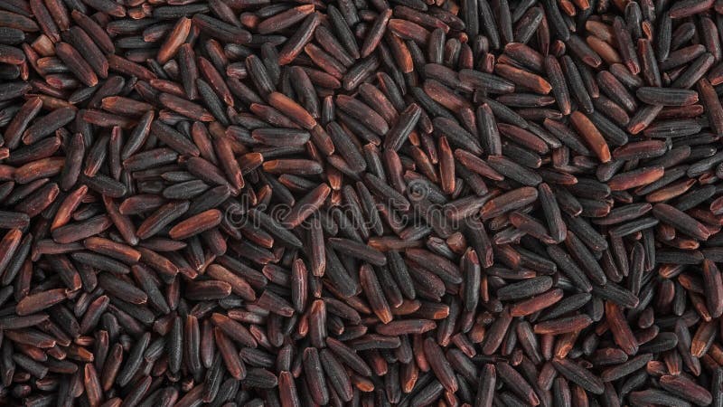Surface of the Grains of Black Rice Stock Photo - Image of unpolished ...
