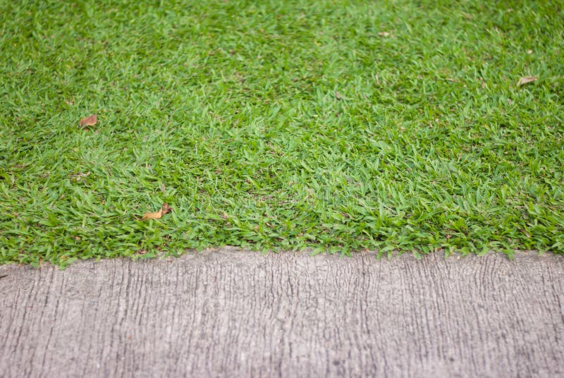 Surface Grass and Stone Ground Stock Image - Image of nature, grass ...