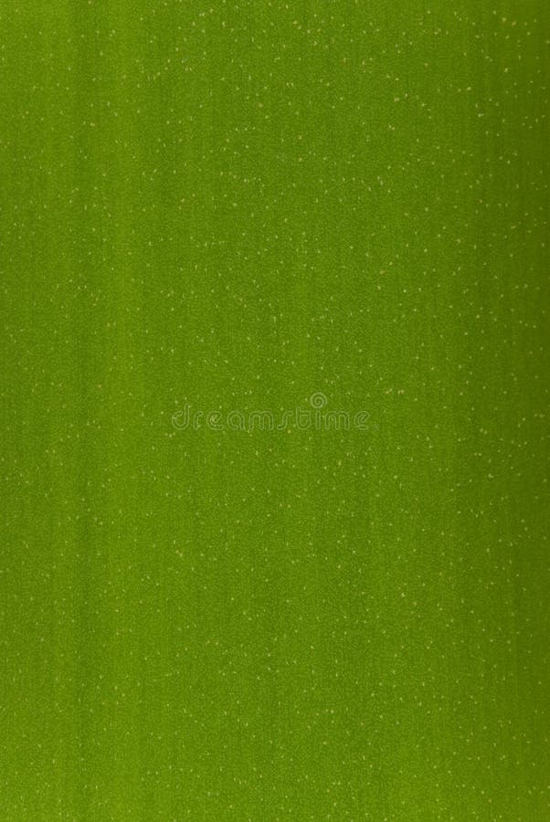 Surface of green bamboo stock image. Image of wood, bamboo - 14148307