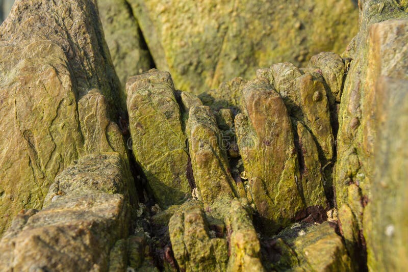 Green Protrusions stock photo. Image of bolts, wheel - 31270054
