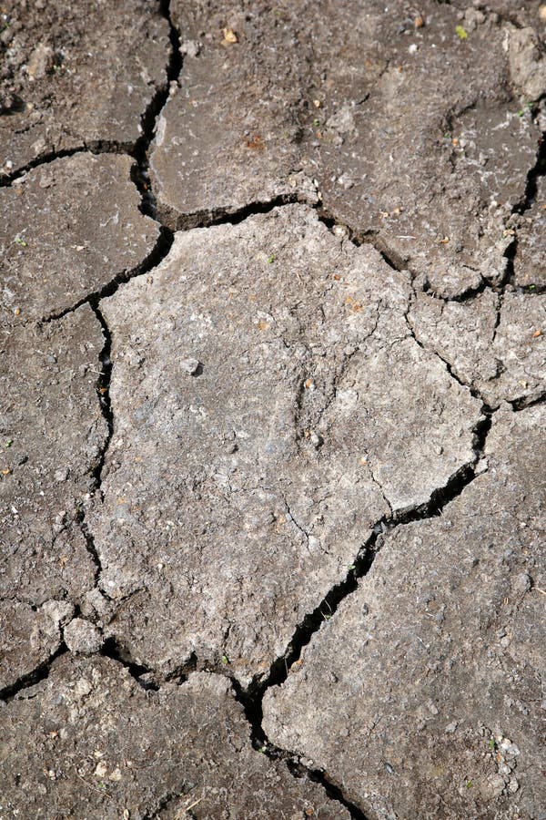Surface Of The Ground Picture. Image: 5498058