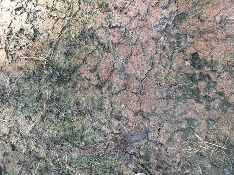 Surface Ground Crack Due To the Dryness Weather. Stock Image - Image of ...