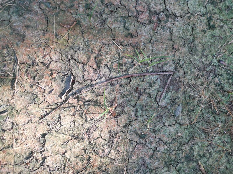 Surface Ground Crack Due To the Dryness Weather. Stock Photo - Image of ...