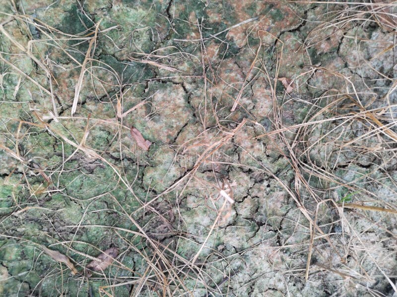Surface Ground Crack Due To the Dryness Weather. Stock Image - Image of ...